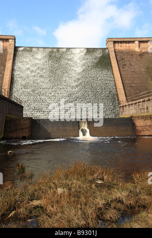 The Avon dam Dartmoor, Devon, UK Stock Photo - Alamy