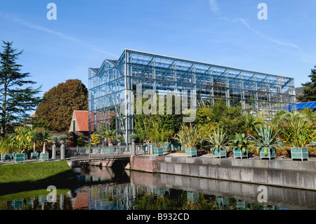 The Hortus University Leiden. Carolus Clusius (1526-1609) medicinal ...