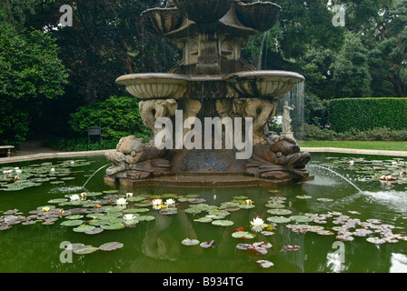 fountain with water lillies Stock Photo - Alamy