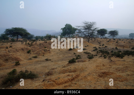 Landscape of Indian thorn desert and scarce vegetation in Rajasthan ...