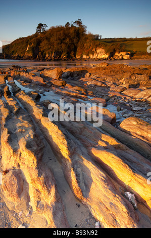 Dawn at Mothecombe beach Devon UK Stock Photo - Alamy