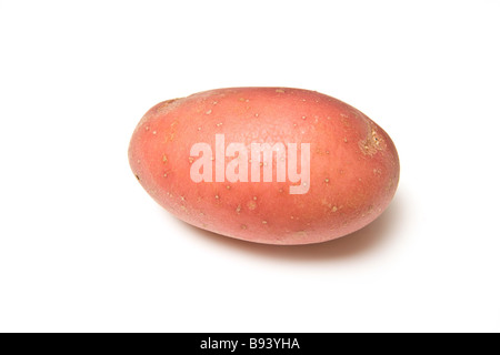 Red rooster potato's isolated on a white studio background Stock Photo ...