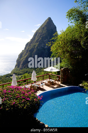 Caribbean, St. Lucia, Soufriere. Plants at the Diamond Botanical Garden ...
