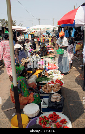 The Gambia Serekunda market woman selling tomatoes Stock Photo - Alamy