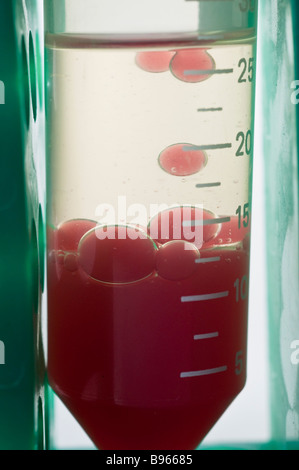 Phase separation in test tubes. These solutions have separated into ...