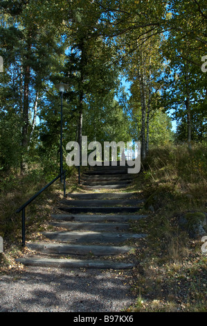 Woodland paths and steps Stock Photo - Alamy