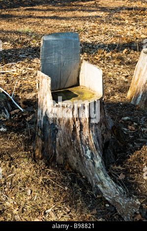 Chair made from a tree stump in the forest Stock Photo - Alamy