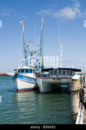 A SHRIMPER AND A PARTY BOAT RAFTED AT PORT CANAVERAL ON THE ATLANTIC ...