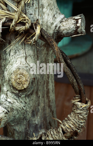 A close-up view of intertwined vines and berries, evoking a sense of ...