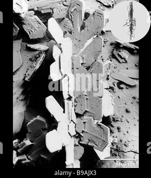 Electron micrograph of a tsuzumi snowflake crystal Stock Photo - Alamy