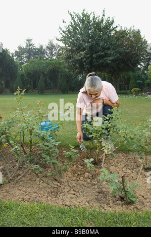 An Indian woman is planting a tree in Nasik, India, contributing to ...