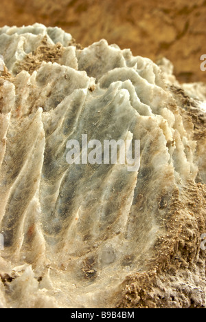 Knife edged razor sharp serrated ridges on salt pillars from Mount ...