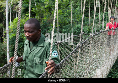 Canopy Walkway Rope Bridge at the Kakum National Park near Cape Coast ...