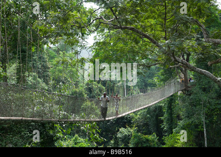 Canopy Walkway Rope Bridge at the Kakum National Park near Cape Coast ...