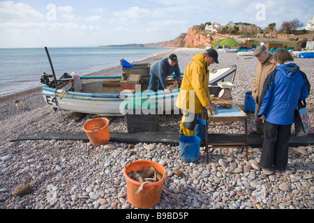 Budleigh Salterton, Fisherman selling fish on the beach Devon, England ...