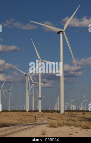 Wind turbines generating electricity at Horse Hollow Wind Farm Nolan ...