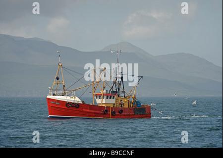 Scottish inshore trawler fishing for prawns off Isle of Mull Scotland ...