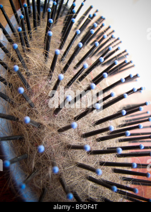 Hairbrush clogged up with hair close up on white background Stock Photo ...