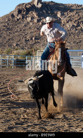 Cowboy lassoing steer Golden Valley Kingman Arizona USA Stock Photo - Alamy
