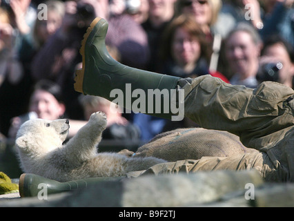 Polar bear Knut and zoo-keeper Thomas Doerflein, Berlin, Germany Stock ...