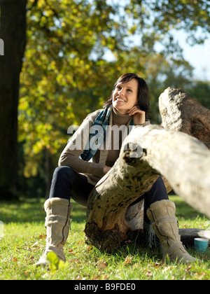 A vertical shot of fallen tree trunks in the moody autumn forest Stock ...