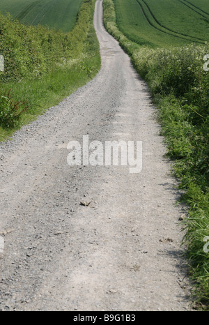 An unmade country track Stock Photo - Alamy