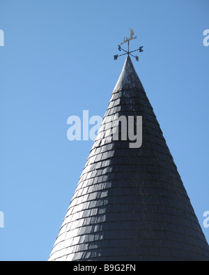Round tower with a conical roof and a weather vane of the Grandson ...