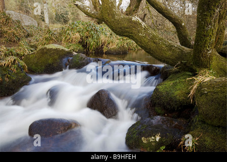 Cascade on the River Dart near Hexworthy bridge on Drtmoor Devon Stock ...
