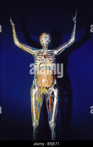 German hygiene museum, Dresden, Deutsche Hygienemuseum Stock Photo - Alamy