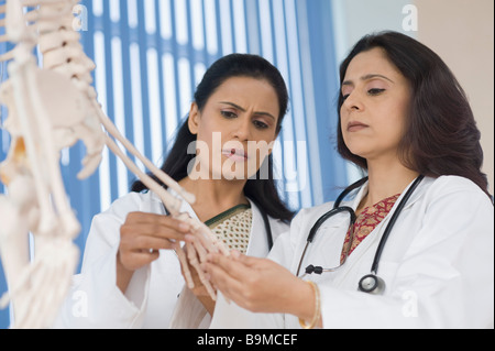 human skeleton model in a doctors room with a stethoscope hanging Stock ...