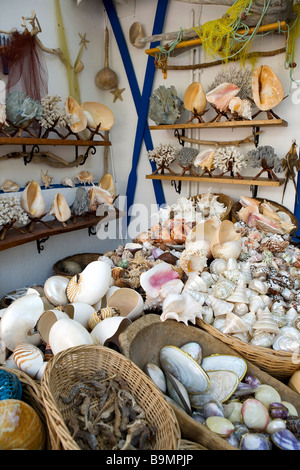 Greece, Crete, Elounda, Sea Shells Stock Photo - Alamy