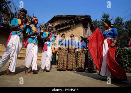 Nepal, the Terai (Madhesh), Tharu village, traditional shoes Stock ...