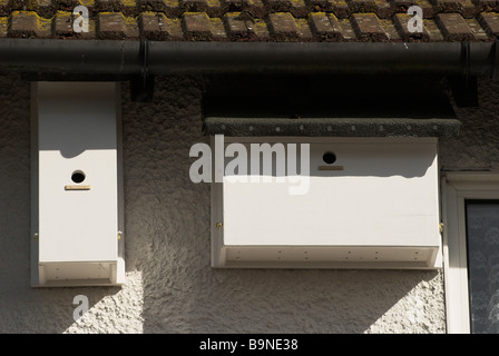 Custom built Sparrow boxes Stock Photo - Alamy