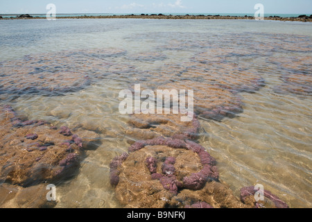 Garig Gunak Barlu National Park on the Cobourg Peninsula, Arnhem Land ...