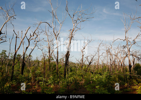 Garig Gunak Barlu National Park on the Cobourg Peninsula, Arnhem Land ...