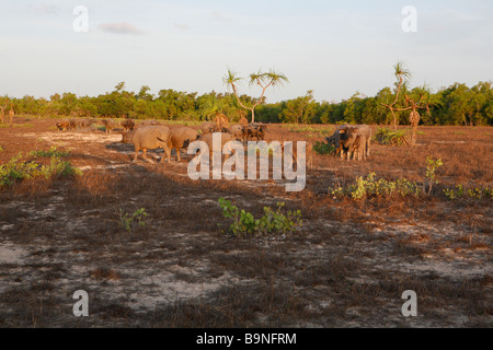 Garig Gunak Barlu National Park on the Cobourg Peninsula, Arnhem Land ...