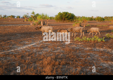 Garig Gunak Barlu National Park on the Cobourg Peninsula, Arnhem Land ...