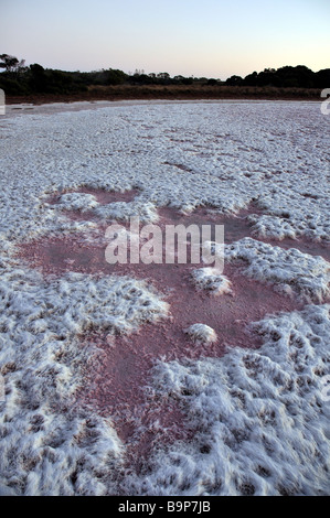 Rottnest Island Pink lake Stock Photo - Alamy