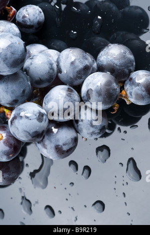 Fresh ripe juicy grapes on white background Stock Photo - Alamy