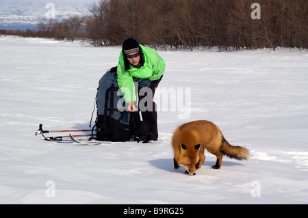 Cheese has captivated the fox Stock Photo - Alamy