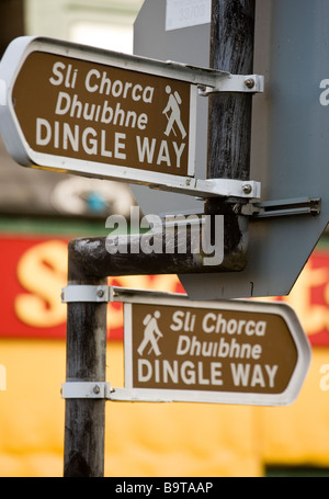 Signs for the Dingle Way. Street signs pointing out the Dingle Way ...