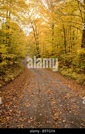 Beautiful Quebec in Autumn Stock Photo - Alamy