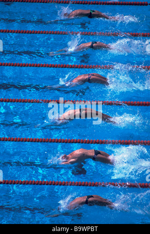 Swimmers at start of race Stock Photo - Alamy
