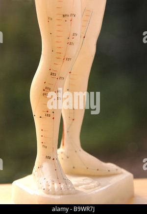 close-up view of an acupuncture figure's profile Stock Photo - Alamy