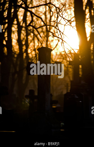Powazki Cemetery, Warsaw, Poland, Europe, December 2018, Grave of film ...