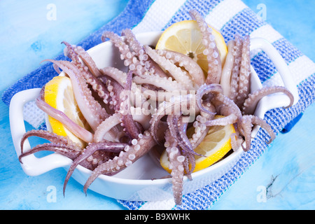 Fresh uncooked squid heads in white terrine Stock Photo - Alamy
