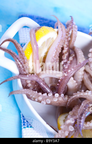 Fresh uncooked squid heads in white terrine Stock Photo - Alamy