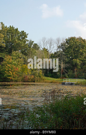 A beautiful picture of a small pond covered with ice. Blue icy water ...