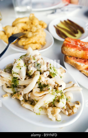 Fried calamari squid tapas in basket with glass of Bernardus Sauvignon ...