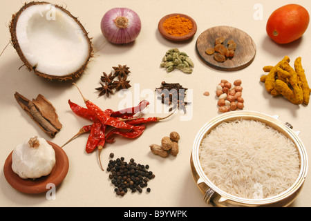 Biryani Ingredients - Ingredients used in preparation of Biryani Stock ...
